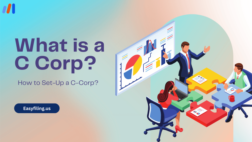What is a C Corp? How to Set-Up a C Corp?